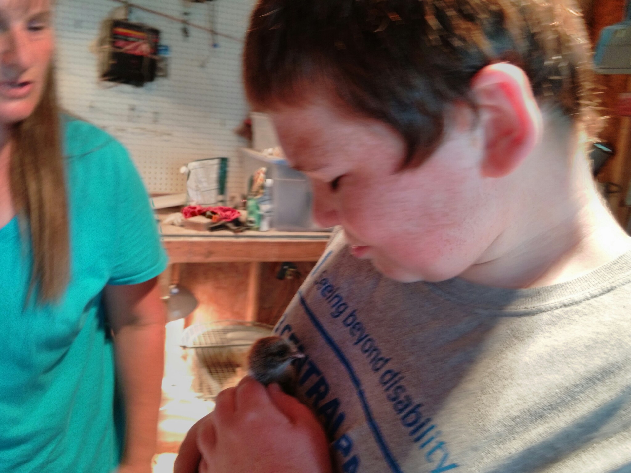 The Chicken Adventure, Part 2: Fred, Hank and Fluffy | The Central Park Zoo